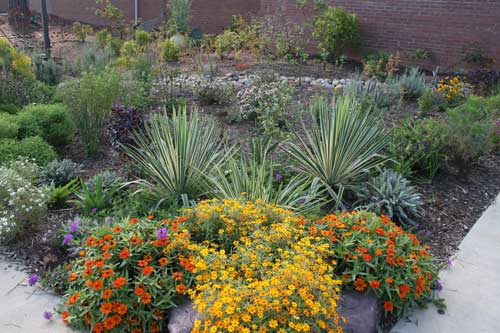 Chatham Mills “Pollinator Paradise” Demonstration Garden | NC State ...